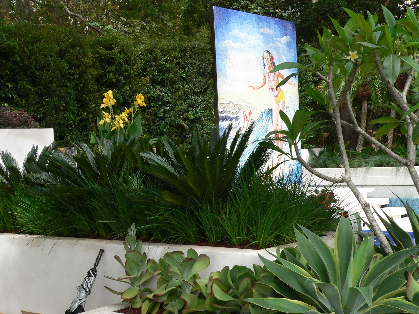 Aggregata Plants & Gardens: Melbourne International Flower & Garden ...