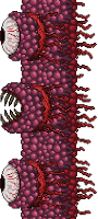 Terraria: Wall of Flesh - ID 113