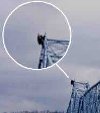 Sguardi nel LogoS: MOTHMAN; L'UOMO FALENA + DOCUMENTARIO E FILM