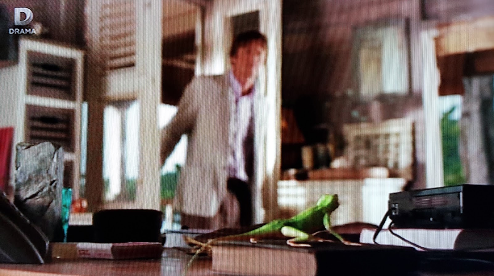 Lucy Melford: Harry the lizard