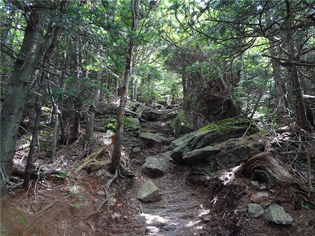 Gone Hikin': Catskill Forest Preserve, NY: Slide Mountain Wilderness ...