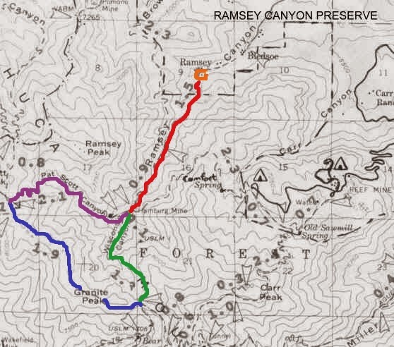 Exploring the American West: Ramsey Canyon Loop to the Crest of the ...