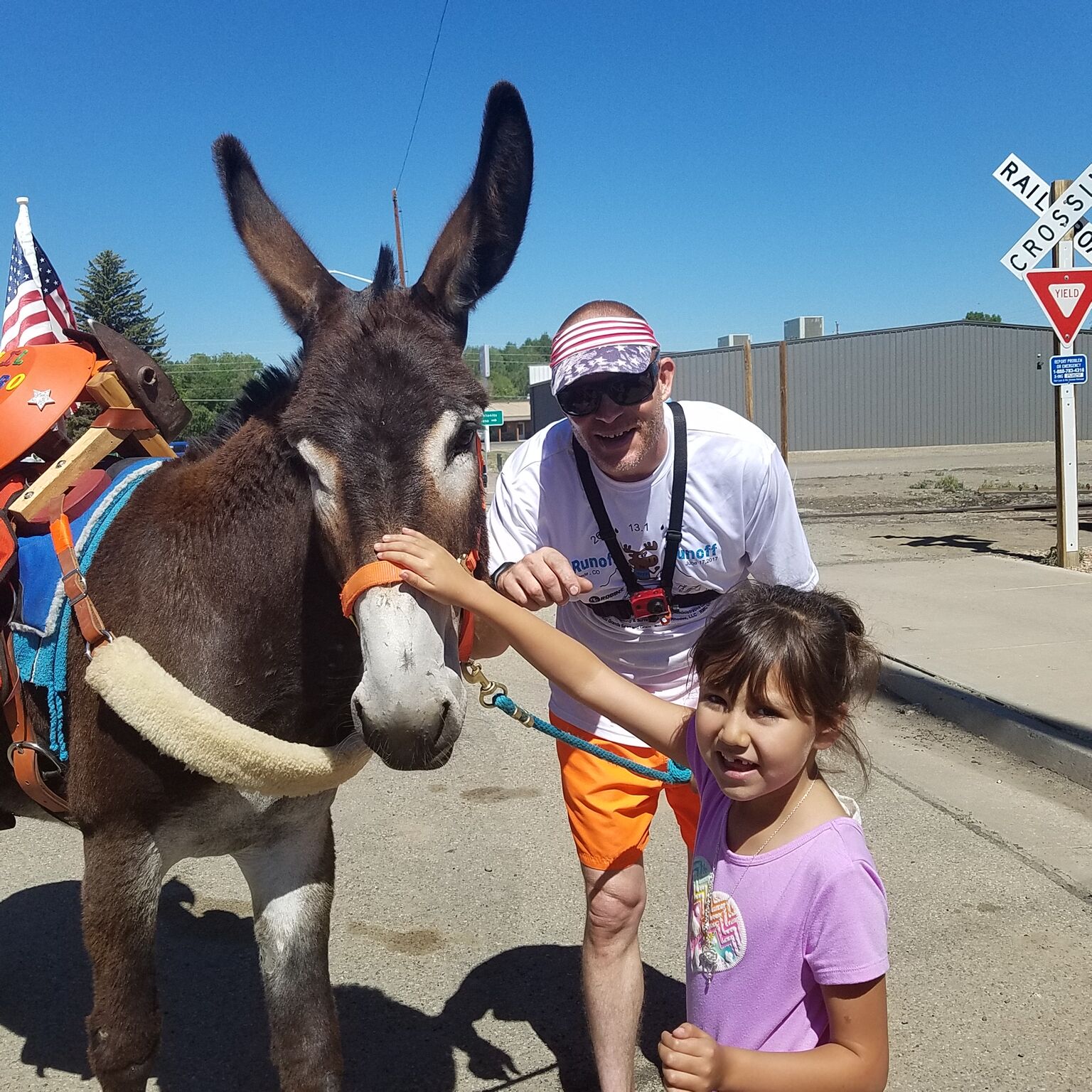 Forever Home Donkey Rescue: June 2017
