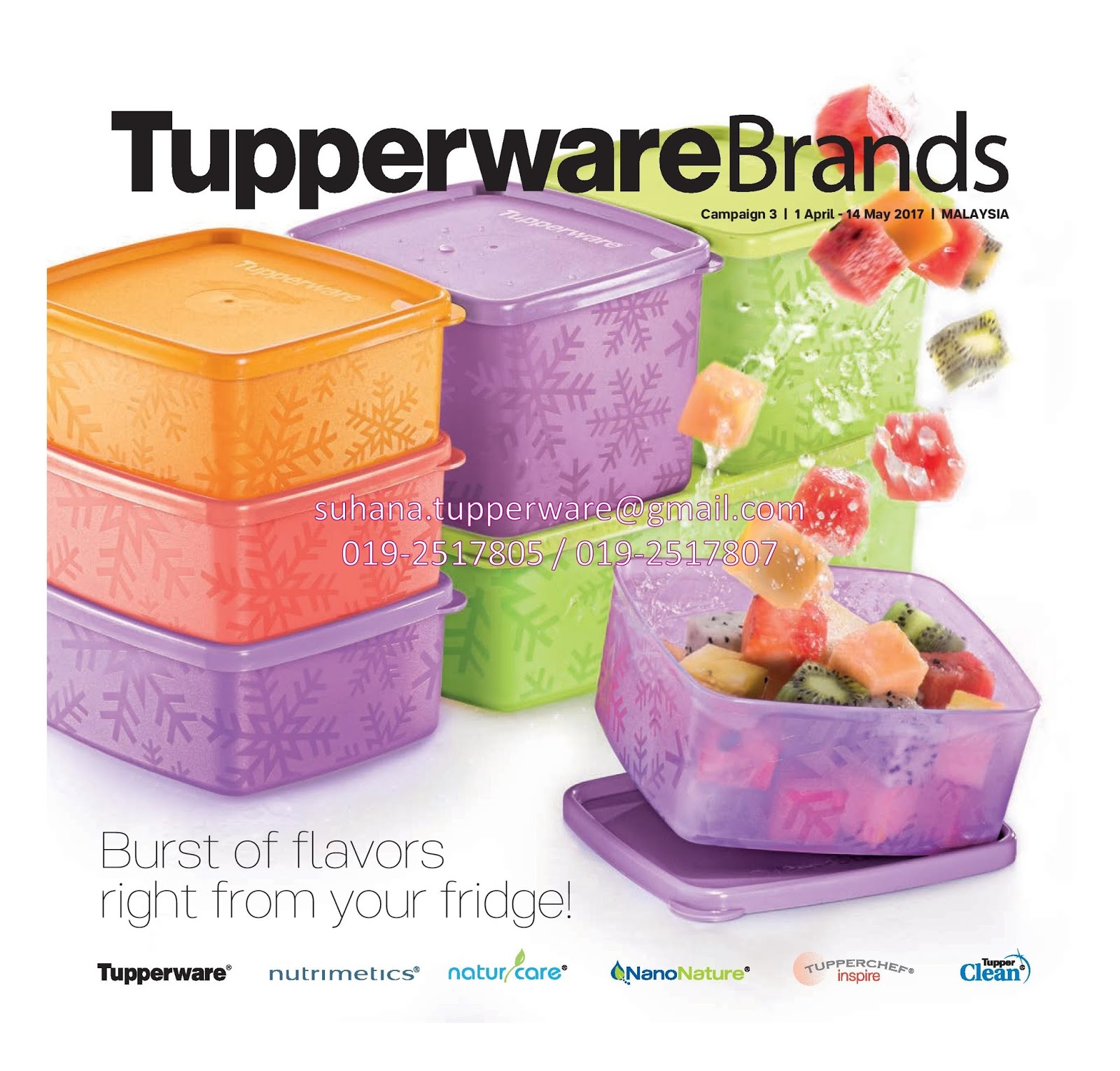 Tupperware Brands Malaysia Online | Catalogue | Collection | Business ...
