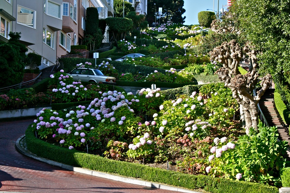 T and T: Photographing the Legendary Steep Hills of San Francisco