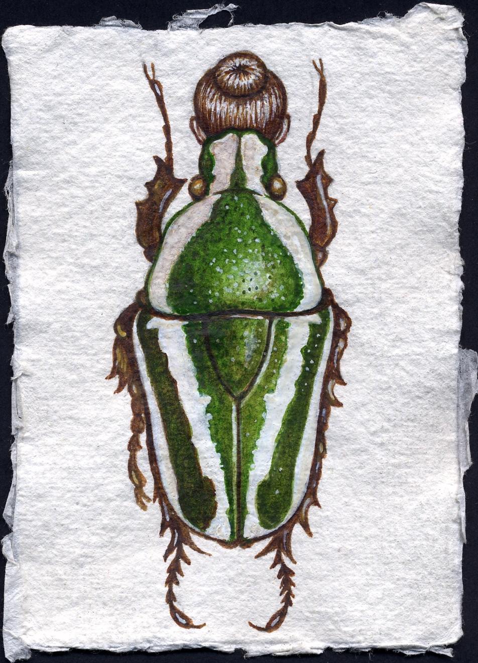 Deborah Klein's Art Blog: More exhibits for a Wonder Room: Insect Women