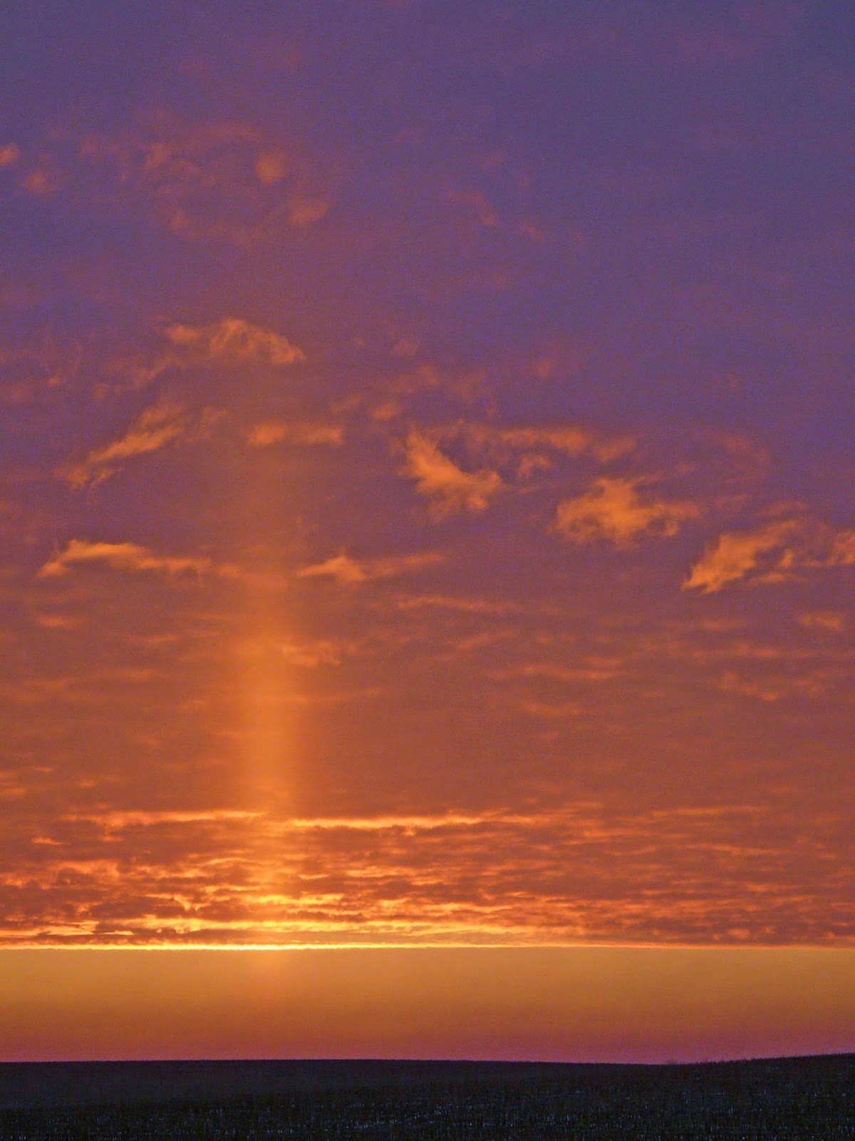 Stuff in the Basement: Easter Dawn and a poem