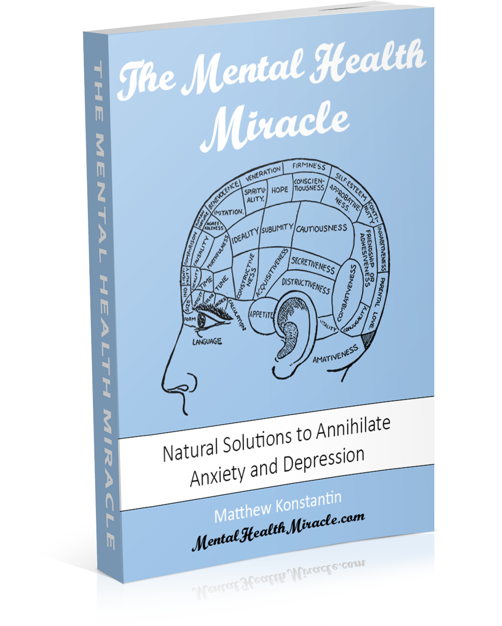 The Mental Health Miracle - Natural Anxiety as well as Depression ...