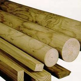 Página de curiosidades y más: ¿Qué es la madera de un árbol?