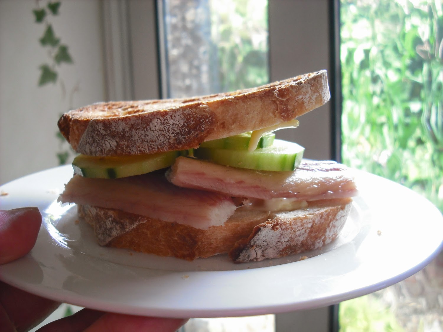 Foodycat: Smoked eel sandwich
