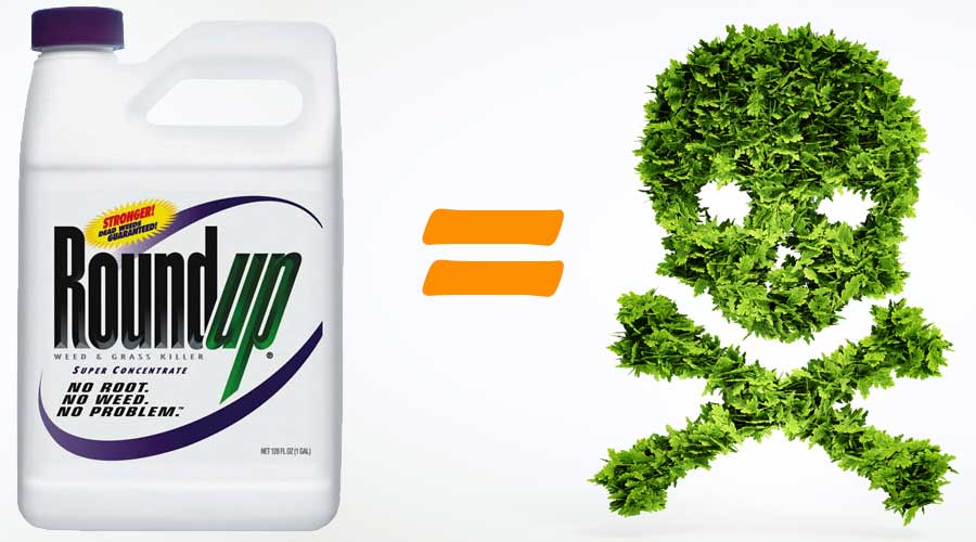 MEC&F Expert Engineers : ROUNDING UP MONSANTO'S ROUNDUP: Starting July ...
