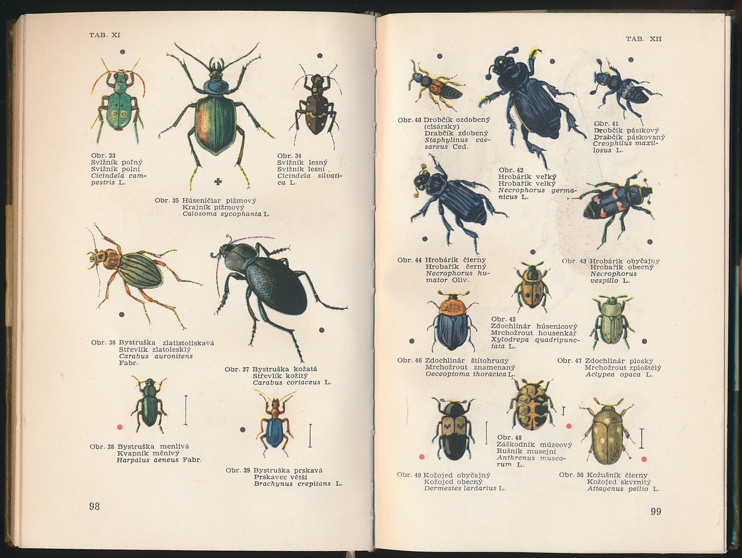 antikvariát STARÉ DOBRÉ: LOUŽIL, JAN - ATLAS LESNÉHO HMYZU