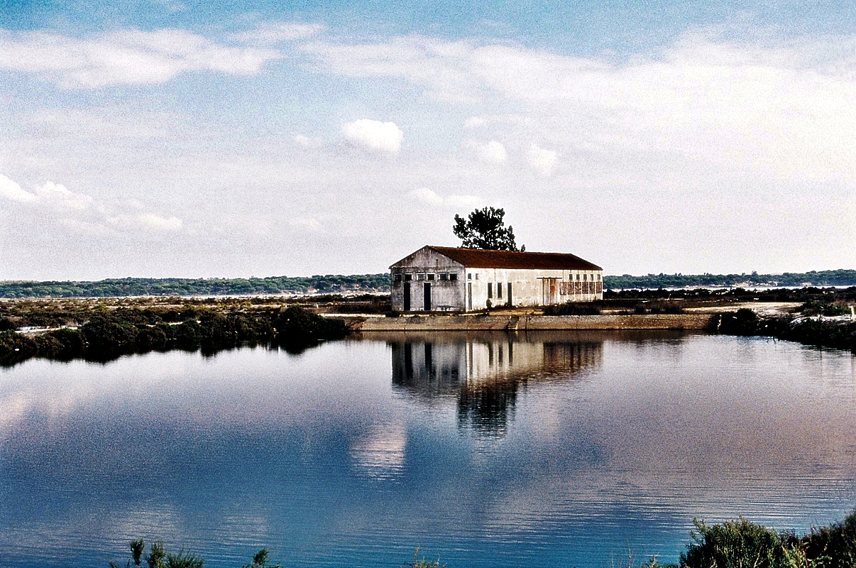 Talvez uma Península