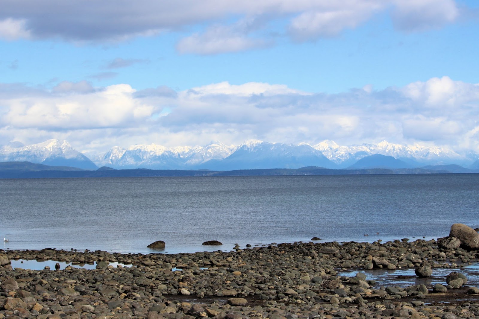 BC Oceanfront: Mountains of Vancouver Island and the BC Coast