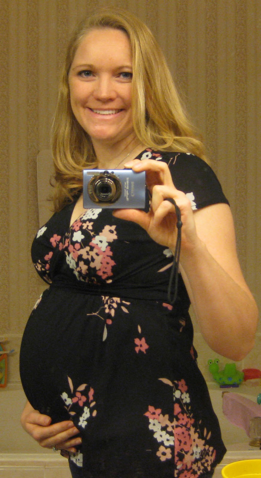 Elle's Miracle Family : 24 Weeks and Counting