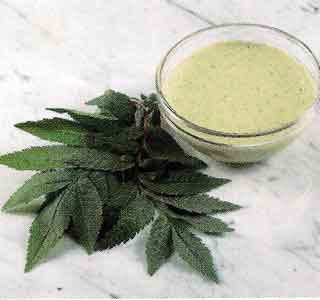 CULTIVOS ANTIGUOS: HUACATAY