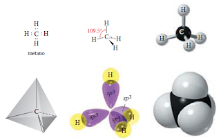 Química Orgánica: HIBRIDACIÓN Y FORMAS MOLECULARES