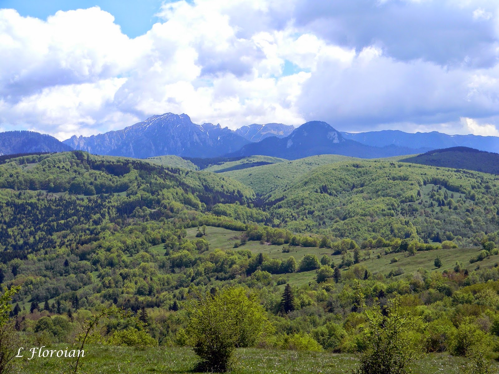 Blog de Calatorii si Drumetii Montane.: Drumetie pe dealurile de langa ...