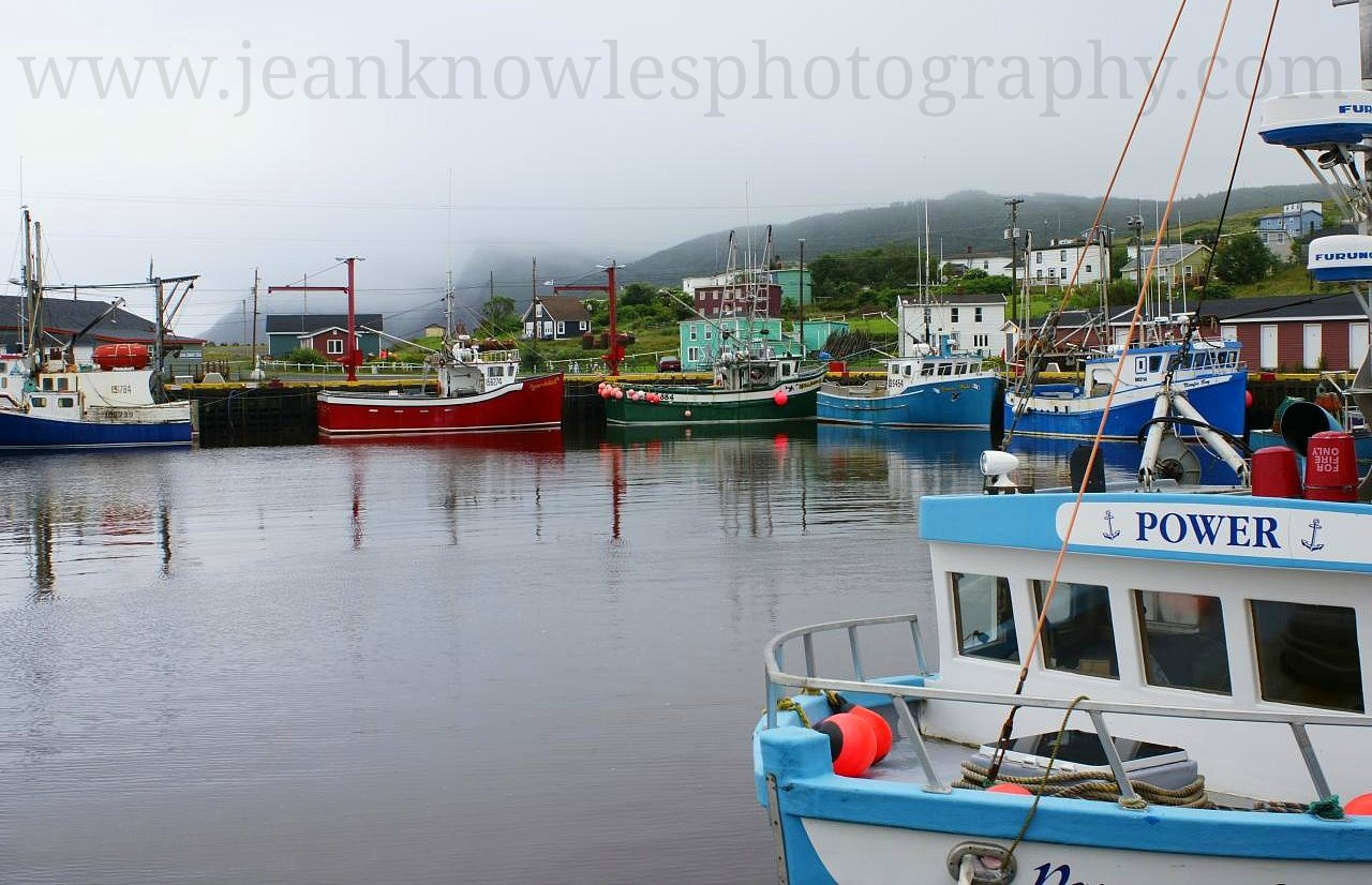 Adventures on the Eastern Edge: Branch and the Cliffhouse