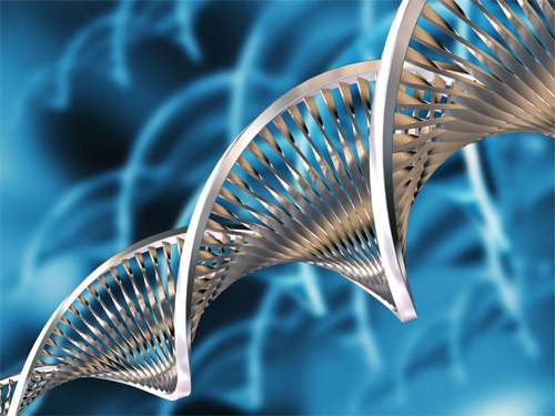 Biotecnologia, A engenharia Genética !: DNA recombiante