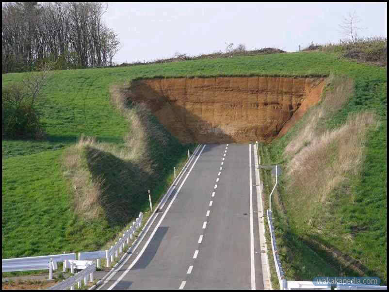 Jalan Buntu - Green Sahabatmu