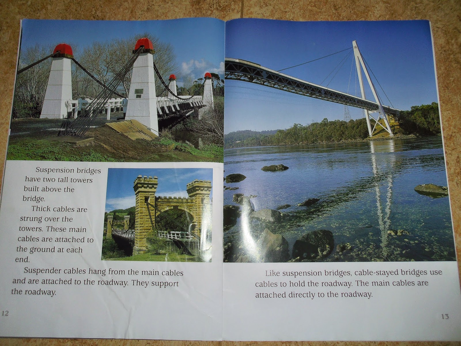 Science Projects: Investigating bridges