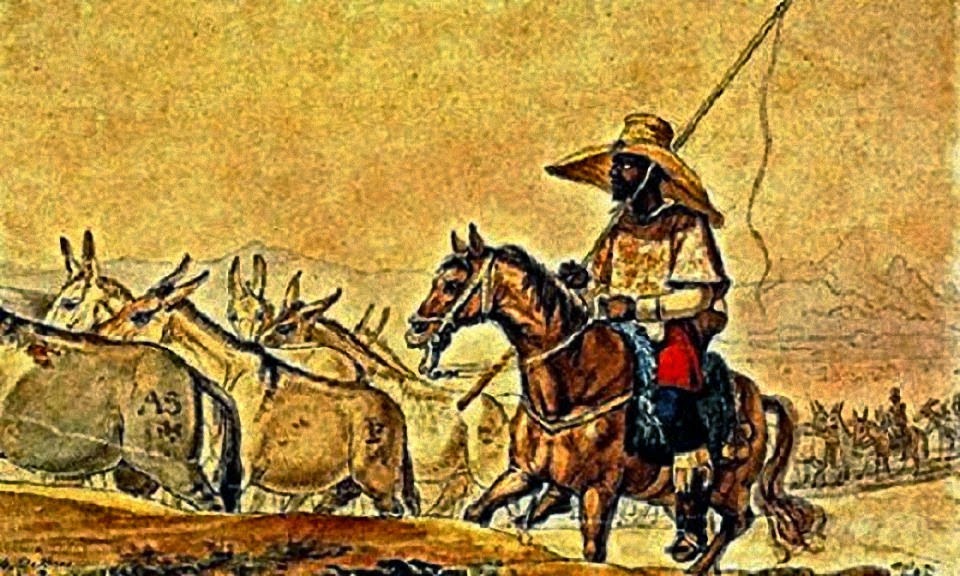 El Muerto |||: Descubiertos