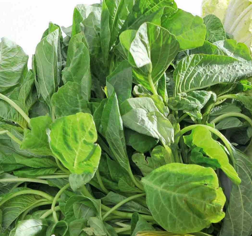 Cara memasak sayur Bayam adalah dikukus atau di tumis ~ Missyella Blog