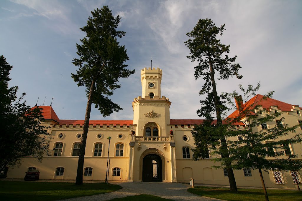 Blunders on the Danube: Sokolnitz Castle: new purchases and refurbishments