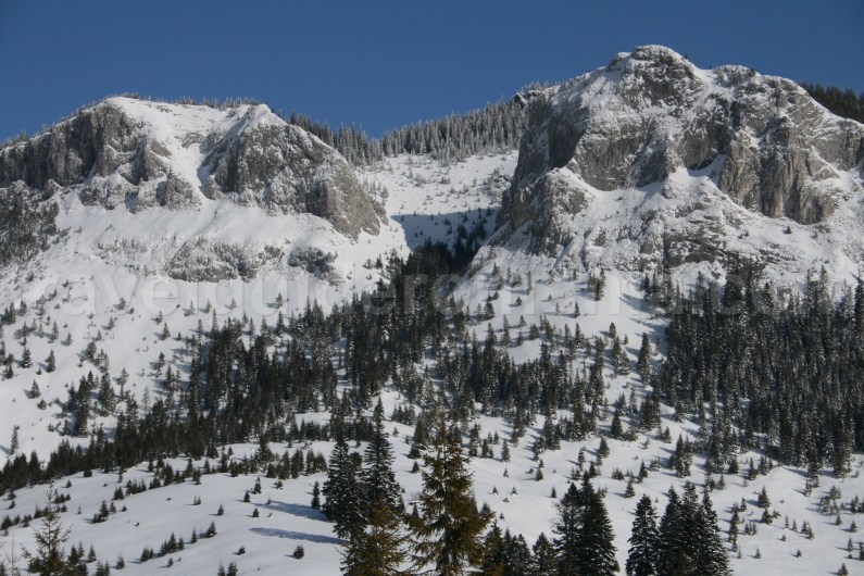 Ghe NICA-Blog: Cabana Vladeasa-Varful Vladeasa-Pietrele albe-Dealul ...