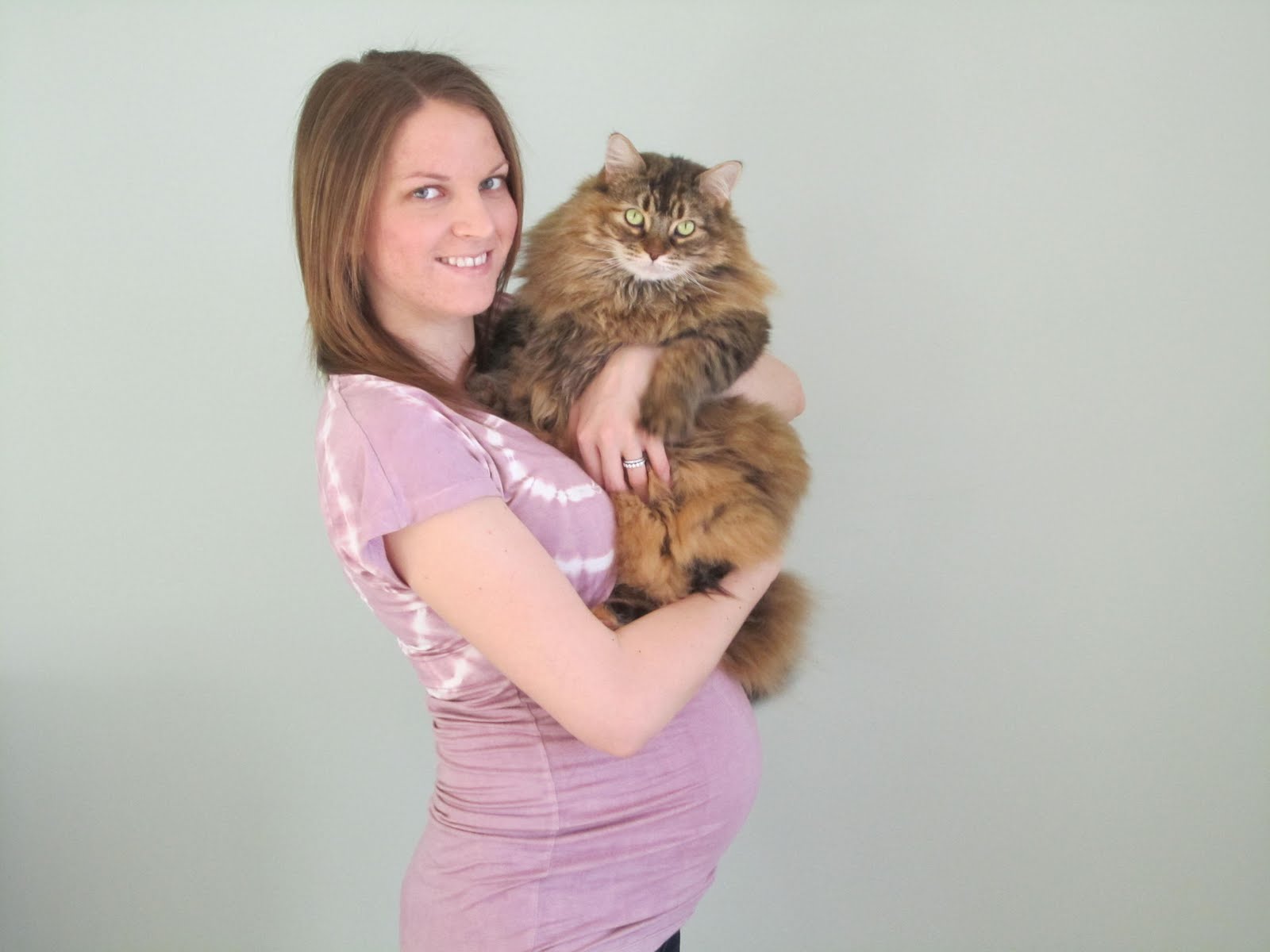 twin bump .... at 22 weeks — Calmly Chaotic