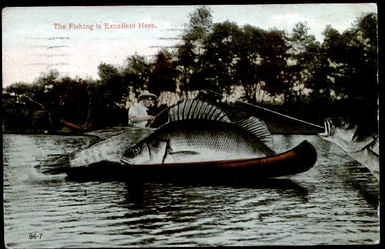 Trout Journeys: Vintage Fishing Postcards