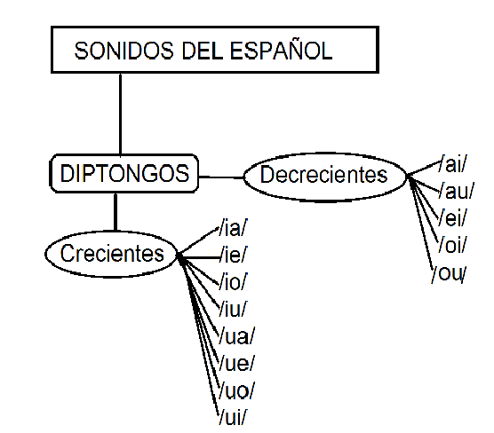 LA IMPORTANCIA DE LA FONÉTICA Y LA FONOLOGÍA EN EL ABORDAJE ...