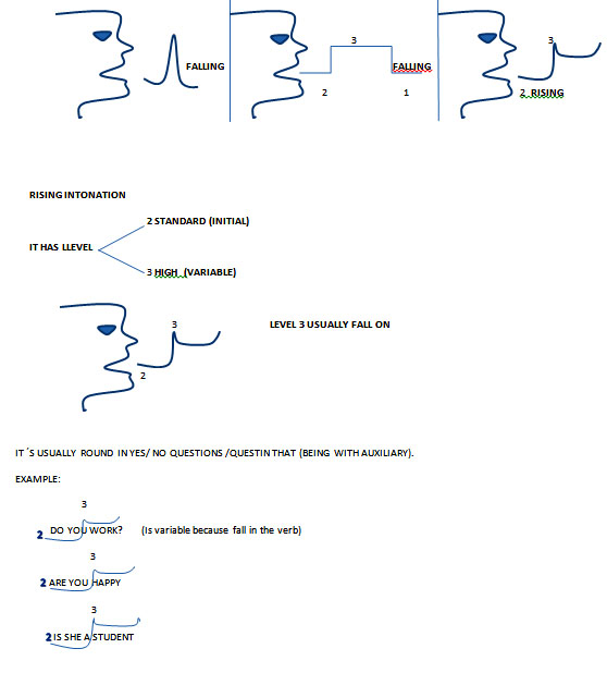 LINGUISTIC: INTONATION LINE
