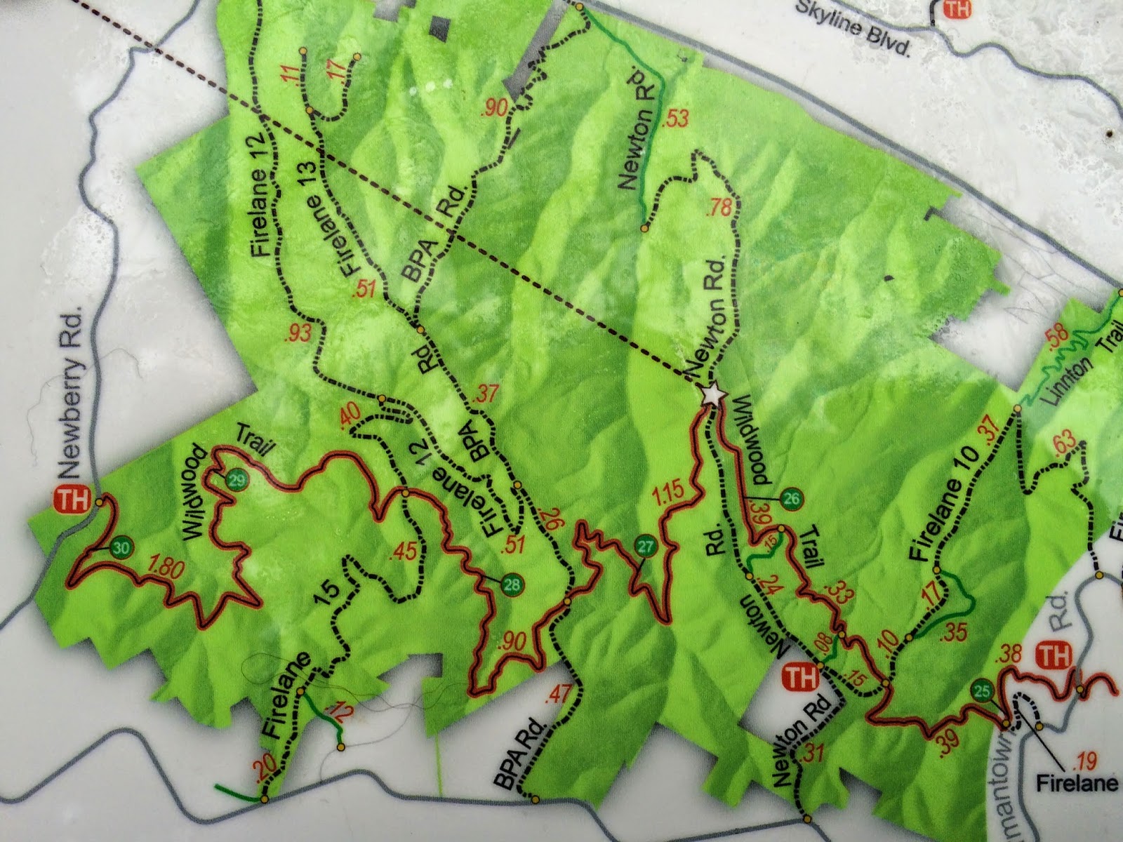 Hiking The Forest: Hike #2: Newton Road to the Wildwood