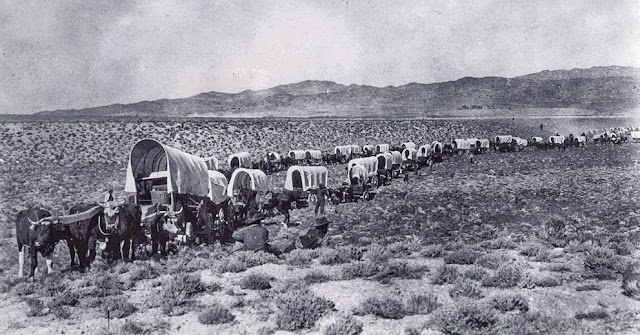 Espacios Plurales: El nomadismo urbano en la actualidad