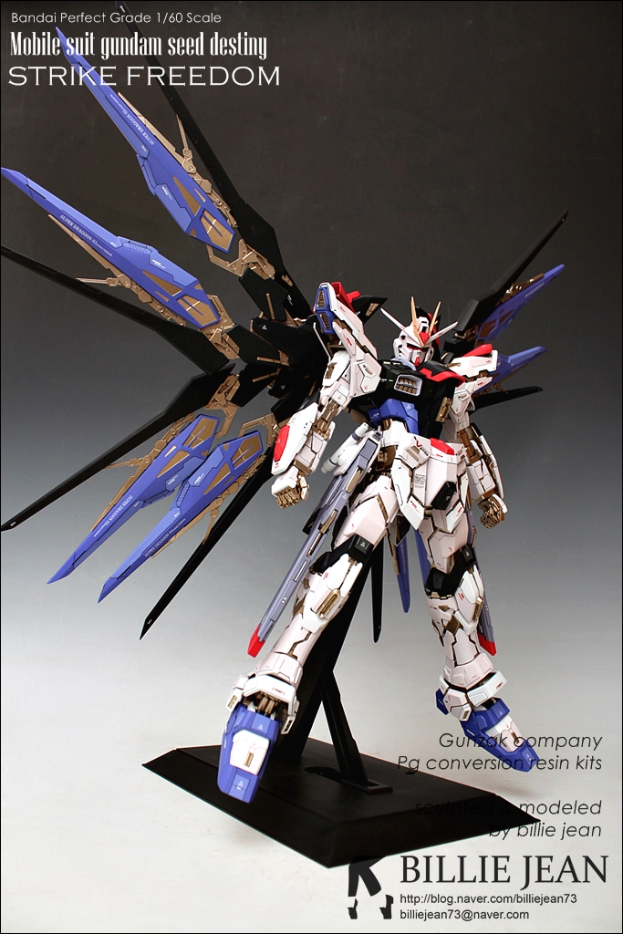 Custom Build: PG 1/60 Strike Freedom Gundam "Detailed"