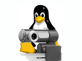 Dicas de como Resolver problemas com a webcam no Ubuntu e derivados ...