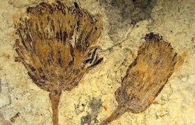 PHILLY TREES: THE STRONG SUN MOON