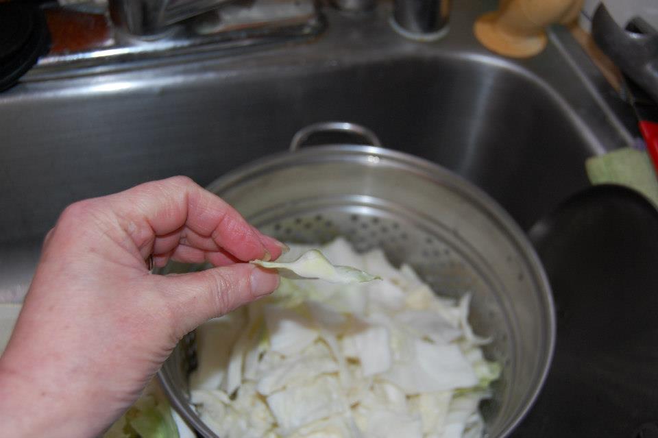 Perky Prepping Gramma: Dehydrating cabbage...