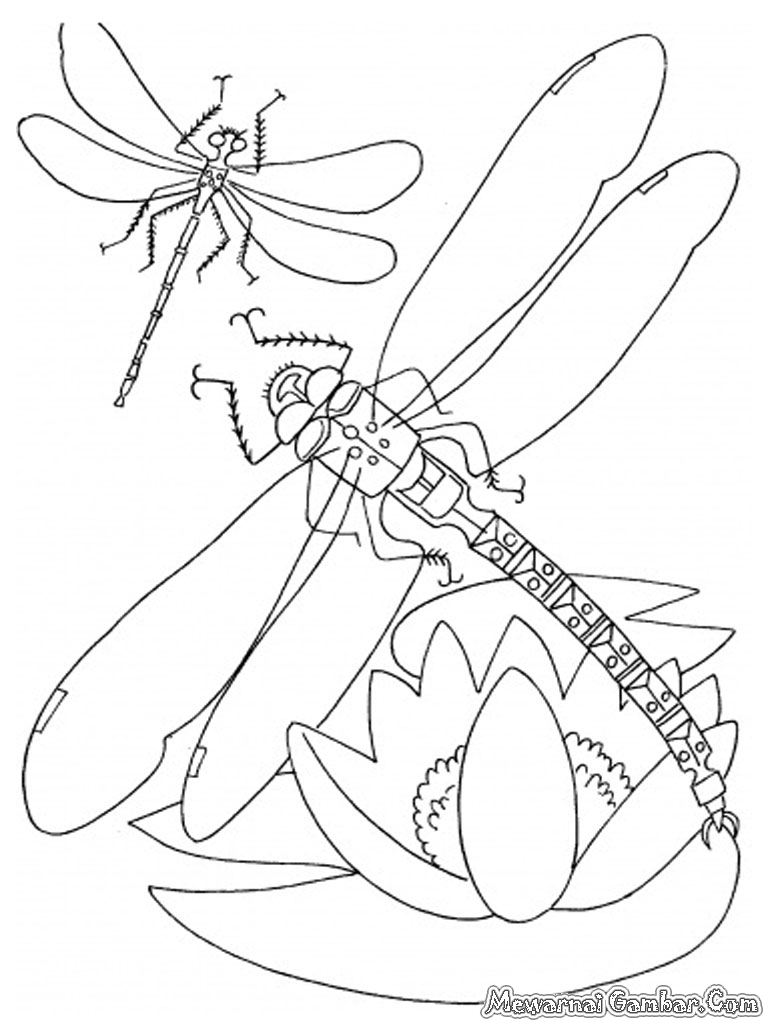 22+ Gambar Mewarnai Capung, Inspirasi Spesial!
