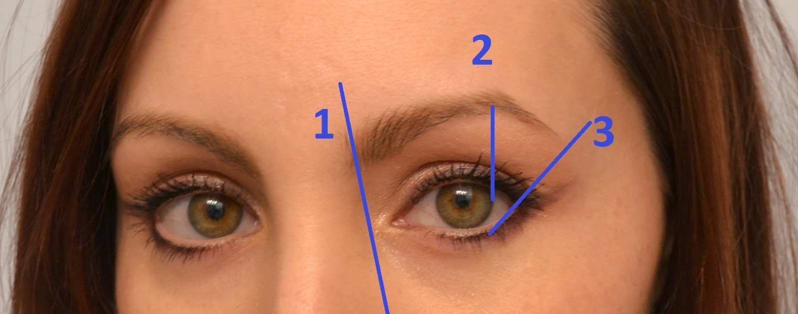 How To Shape Your Eyebrows To Match Your Eye - Shamila Beauty Corner