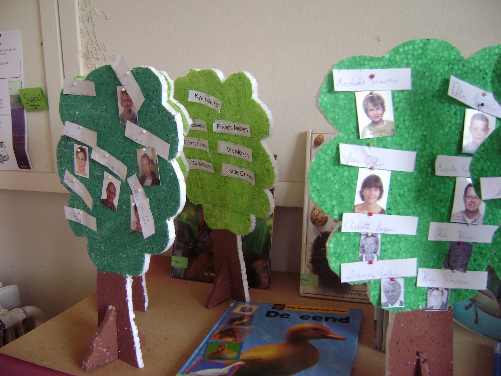 Het 3de leerjaar 'De Tol': Mijn stamboom!