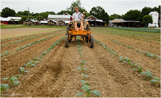 Sustaining Farming on the Urban Fringe: Yield Expectations for Mixed ...