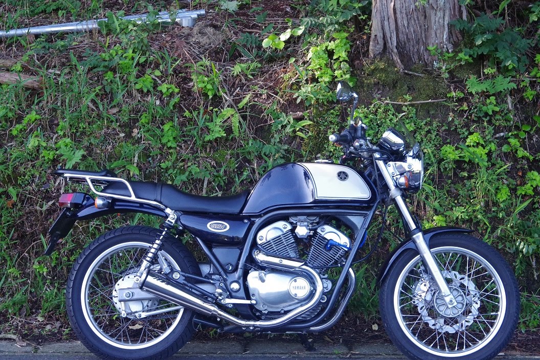 SRV250 再びキャリアを装着| Stock Hunterの御機嫌伺