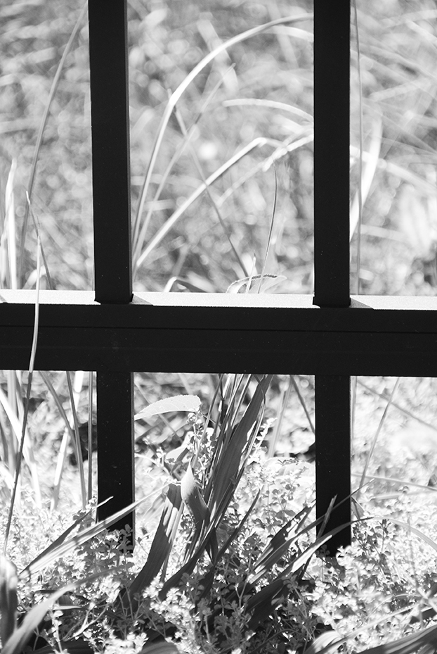 My Cup Overflows: Alphabet Photography