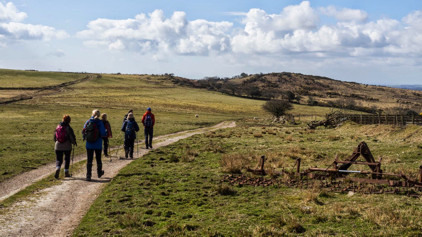 My Dartmoor Walks: Wednesday 25th March Lee Moor