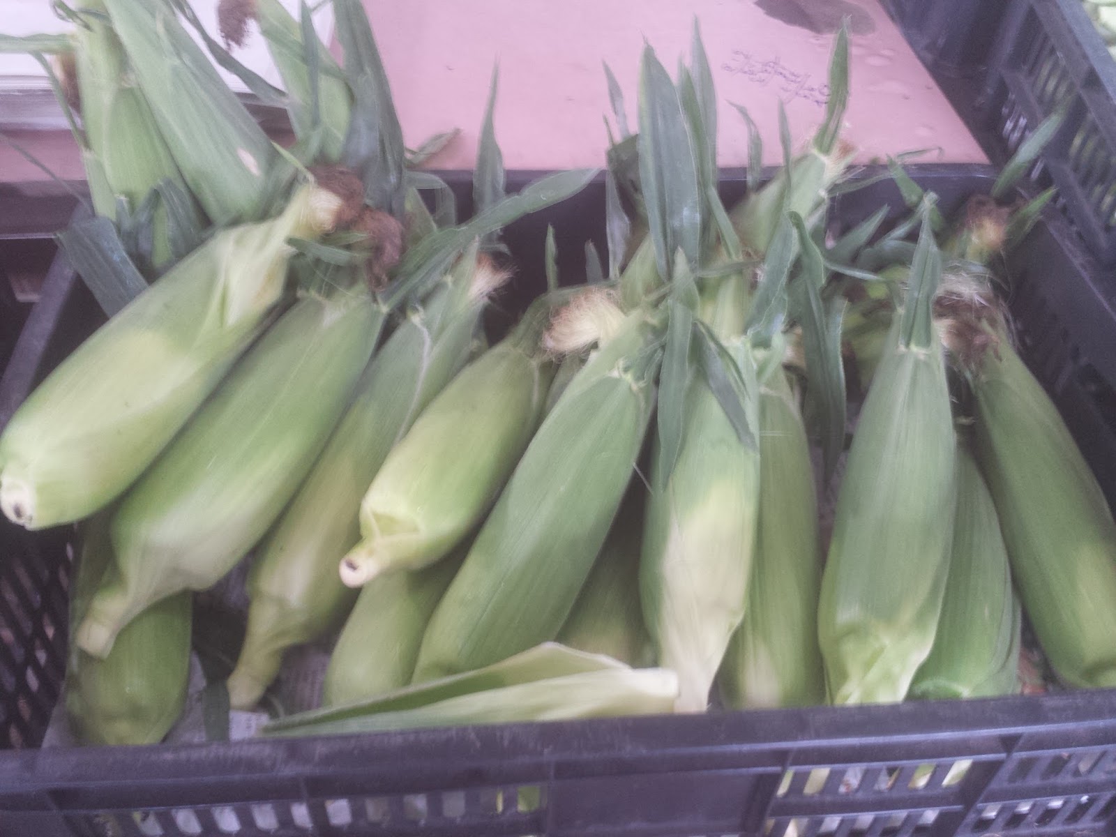 Somewhere in Singapore Blog: Kok Fah Technology Farm Pte Ltd