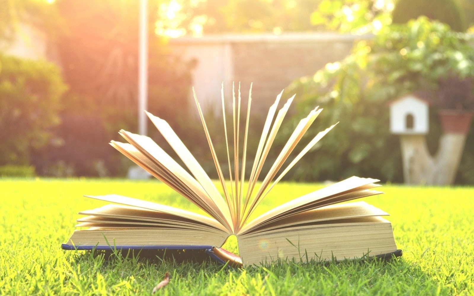 16 Contoh Kalimat Majemuk Bertingkat - Biologizone