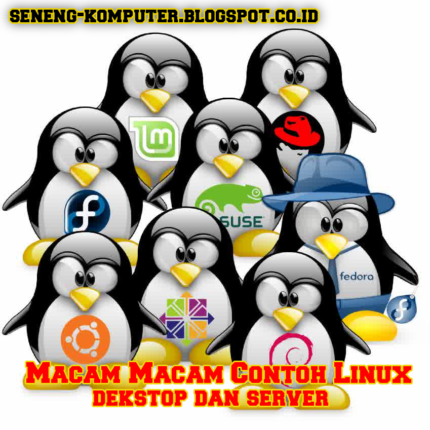 Pengertian Linux Lengkap Dengan Contohnya - Seneng Komputer